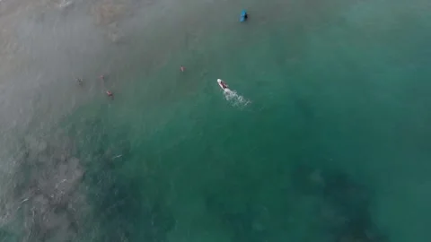 Sri Lanka Swimmers Stock Videos – Royalty-Free HD & 4K Videos | Pond5