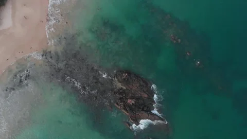 Sri Lanka Swimmers Stock Videos – Royalty-Free HD & 4K Videos | Pond5