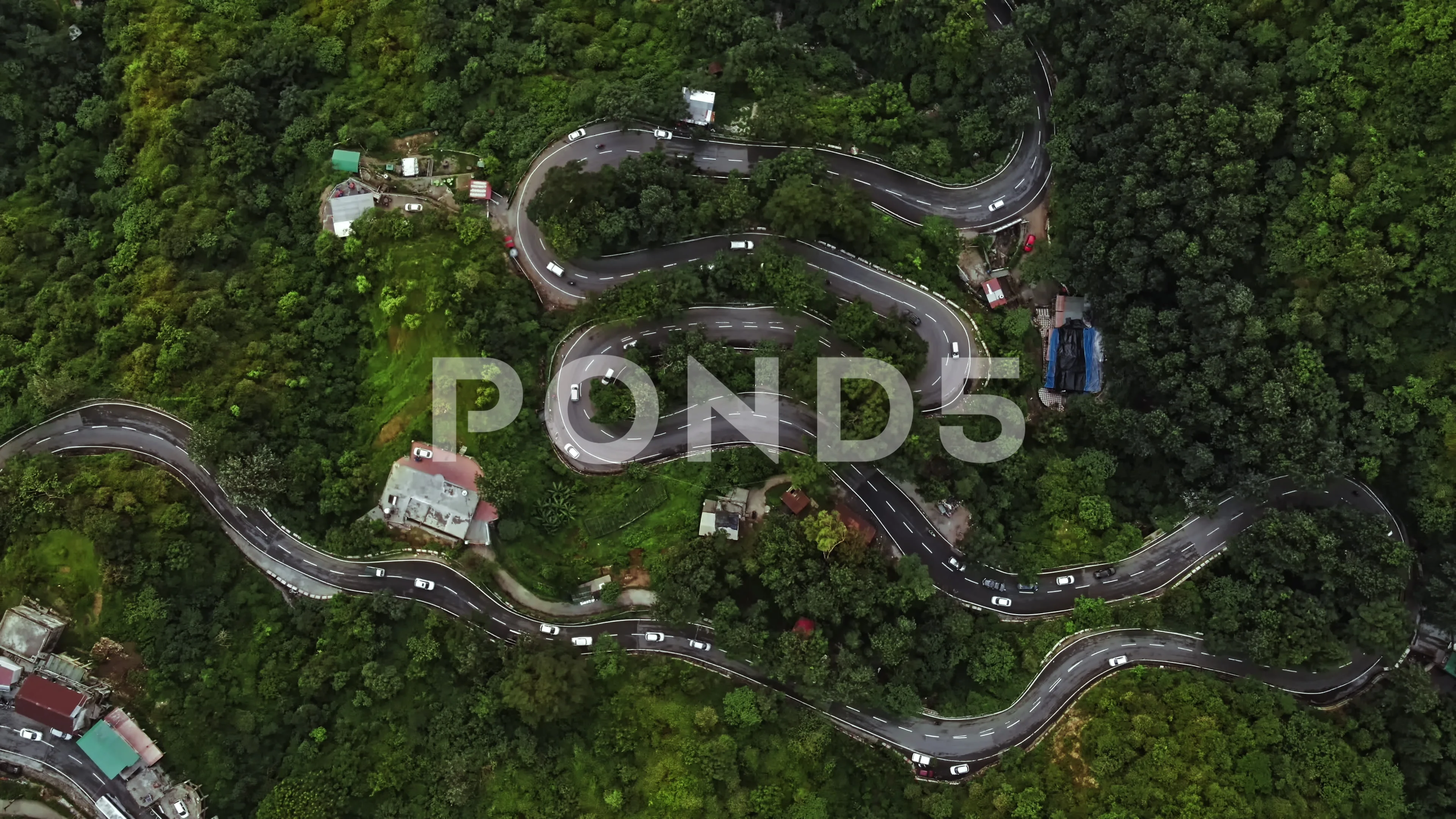 Curved Road Top View