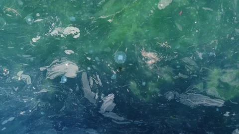 Snot Stock Video Footage | Royalty Free Snot Videos | Pond5