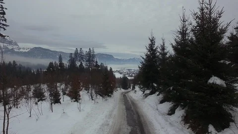 Aerial view of a narrow road and trees | Stock Video | Pond5