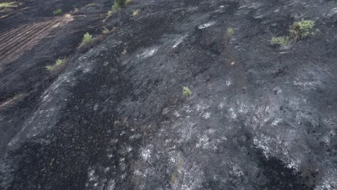 Aerial view of nature burned by fire. | Stock Video | Pond5