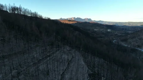 Aerial view orbiting forest fire trees n... | Stock Video | Pond5