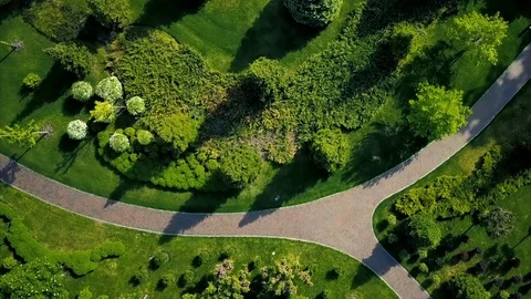Aerial view. Park with a path, green gra... | Stock Video | Pond5