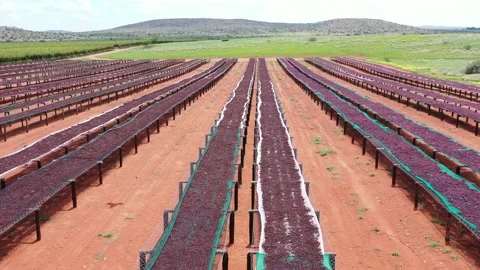 Northern Cape Stock Video Footage | Royalty Free Northern Cape Videos ...