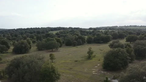 A aerial view revealing the open fields ... | Stock Video | Pond5