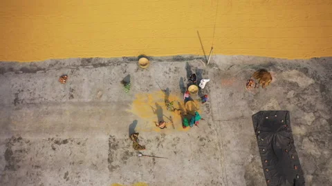 Aerial view of a rice field in Dhamrai, ... | Stock Video | Pond5