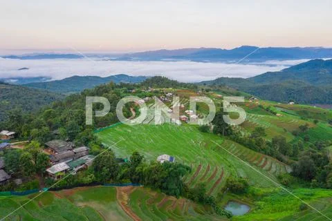 Aerial view of rice field Pa? Bong? Piang? Rice Terraces? at Pa Bong ...