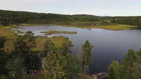 Aerial view rising behind a big spruce t... | Stock Video | Pond5