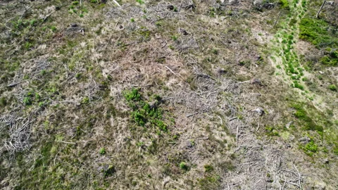 Aerial View Rotating Over Deforestation ... | Stock Video | Pond5