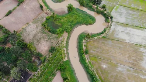 Aerial view scenic of river rice field a... | Stock Video | Pond5