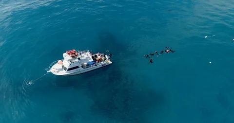Diving Off Boat Stock Video Footage | Royalty Free Diving Off Boat ...