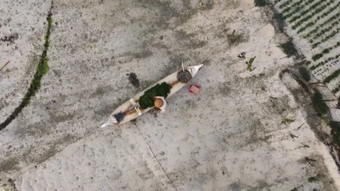 Aerial view of seaweed farm with boat an... | Stock Video | Pond5