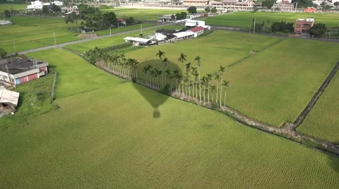 Aerial view of the shadow of a hot air b... | Stock Video | Pond5
