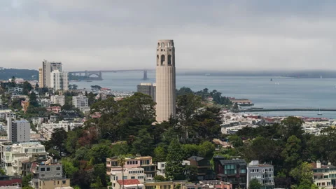 Sf6Framescom Stock Video Footage | Royalty Free Sf6Framescom Videos | Pond5