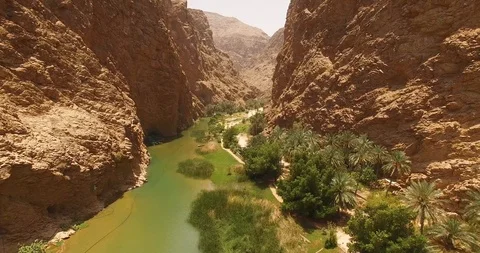 Greenery Stock Videos – Royalty-Free HD & 4K Videos | Pond5