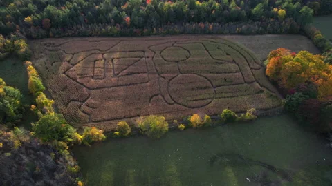Aerial View of Signs in Drawn Crops, Hou... | Stock Video | Pond5