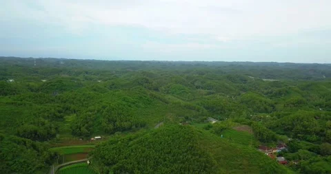 Aerial view of small hills overgrown wit... | Stock Video | Pond5