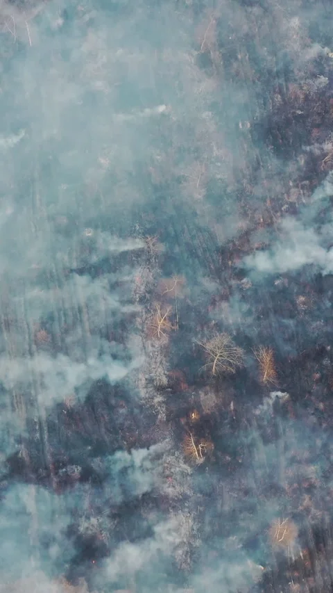 Hot Spring Sweather Stock Videos – Royalty-Free HD & 4K Videos | Pond5