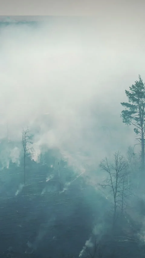 Bush Scenes Hot Stock Footage ~ Royalty Free Stock Videos | Pond5