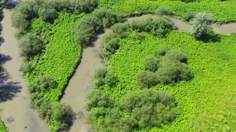 Aerial view of the Sutla (Sotla) River | Stock Video | Pond5