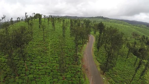 Coorg Stock Video Footage | Royalty Free Coorg Videos | Pond5