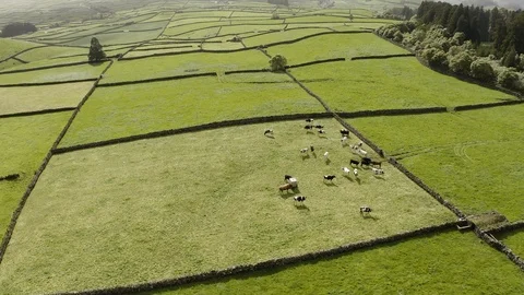 Aerial view of the third island in the A... | Stock Video | Pond5