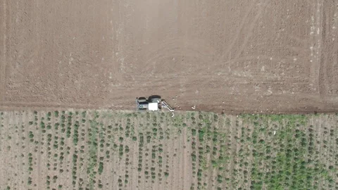 Wall Tilling Stock Videos – Royalty-Free HD & 4K Videos