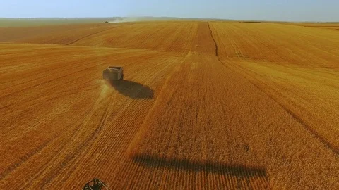Aerial view of the truck with wheat carg... | Stock Video | Pond5