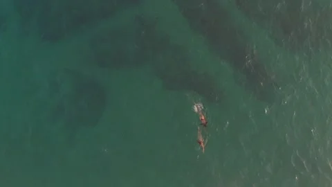 Girls Swimming Beach Stock Videos – Royalty-Free HD & 4K Videos | Pond5