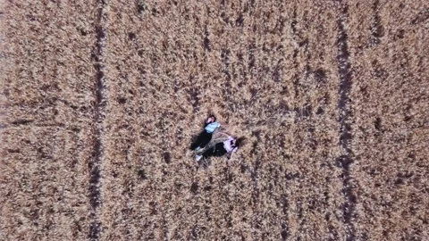 Flo Wavve Stock Videos – Royalty-Free HD & 4K Videos | Pond5