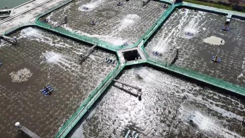 Aerial view of water circulation in a sh... | Stock Video | Pond5