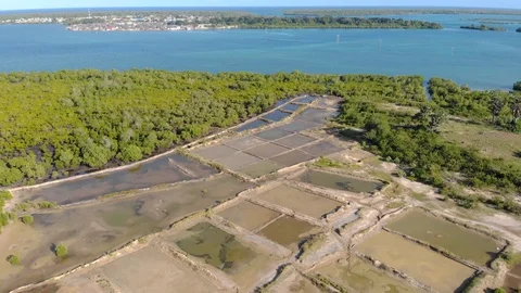 East In Line Stock Videos – Royalty-Free HD & 4K Videos | Pond5