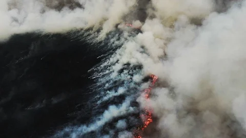 Reason* Stock Videos – Royalty-Free HD & 4K Videos