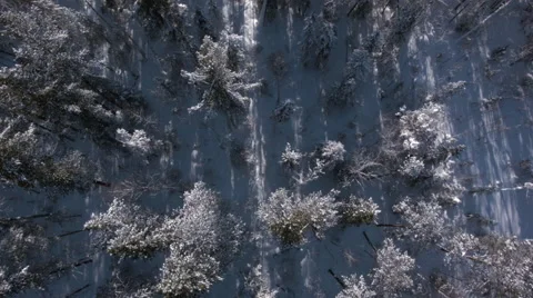 Winter Stock Video Footage | Royalty Free Winter Videos | Pond5