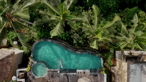 Aerial view woman swimming in pool at tr... | Stock Video | Pond5