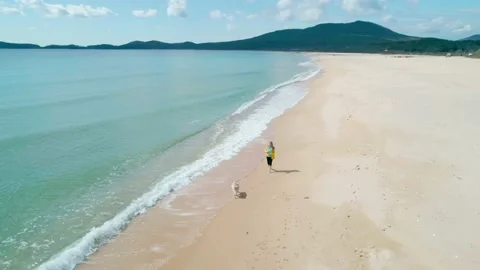 Yellow Beach Stock Videos – Royalty-Free HD & 4K Videos | Pond5