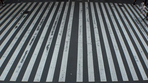 Aerial view of zebra crossing. Crowd of ... | Stock Video | Pond5