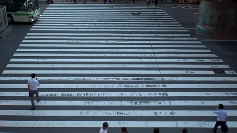 Aerial view of zebra crossing. Crowd of ... | Stock Video | Pond5