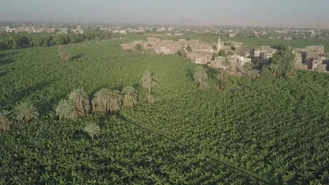 Aerial vision of Luxor and Nile River gr... | Stock Video | Pond5