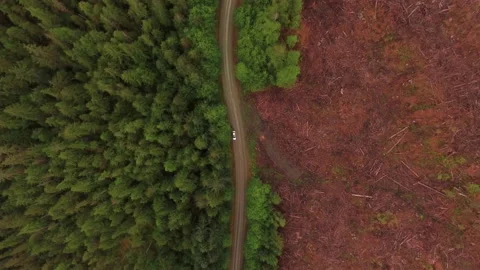 Aerial zooming out on half forest and ha... | Stock Video | Pond5