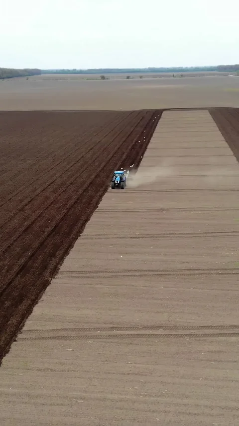 Scream 6 Trailer Stock Videos – Royalty-Free HD & 4K Videos | Pond5