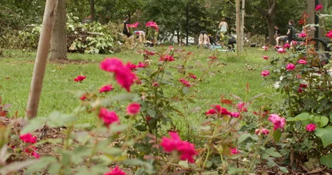 Class Clsures Stock Videos – Royalty-Free HD & 4K Videos | Pond5