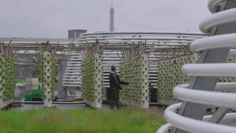 Aeroponic planting on urban green roof g... | Stock Video | Pond5