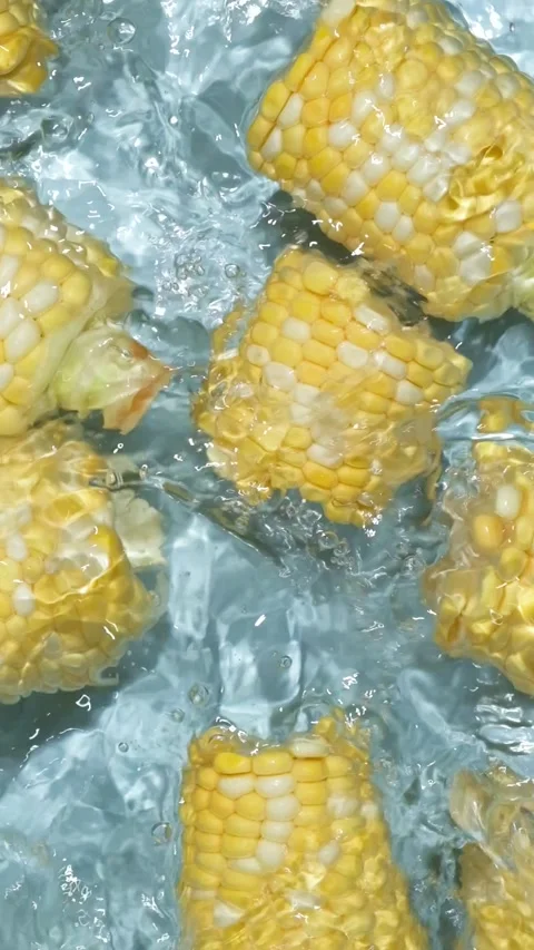 Aesthetic Summer Background Stock Videos – Royalty-Free HD & 4K Videos