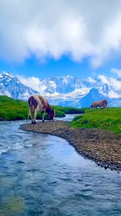 Travel Aesthetic Stock Videos – Royalty-Free HD & 4K Videos