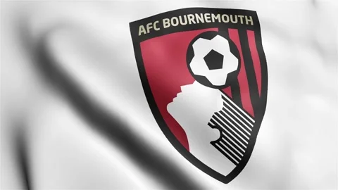 AFC Bournemouth Flag video waving in win... | Stock Video | Pond5