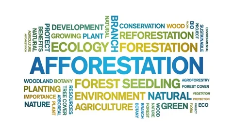 Afforestation animated word cloud,animat... | Stock Video | Pond5
