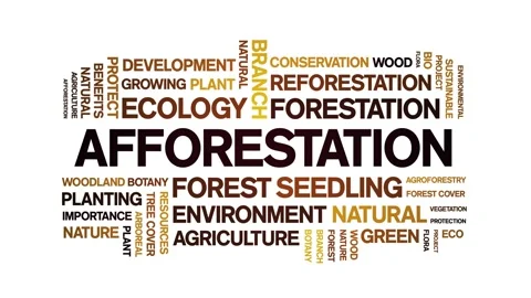 Afforestation animated word cloud,animat... | Stock Video | Pond5