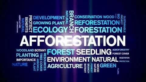 Growing Plants Animation Loop Stock Footage ~ Royalty Free Stock Videos ...